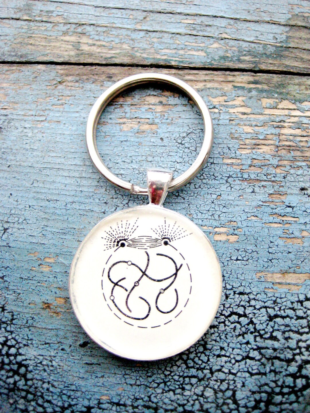 Early Prophase 1 Mitosis Cell Cycle Silver Keychain/pendant Series - Etsy