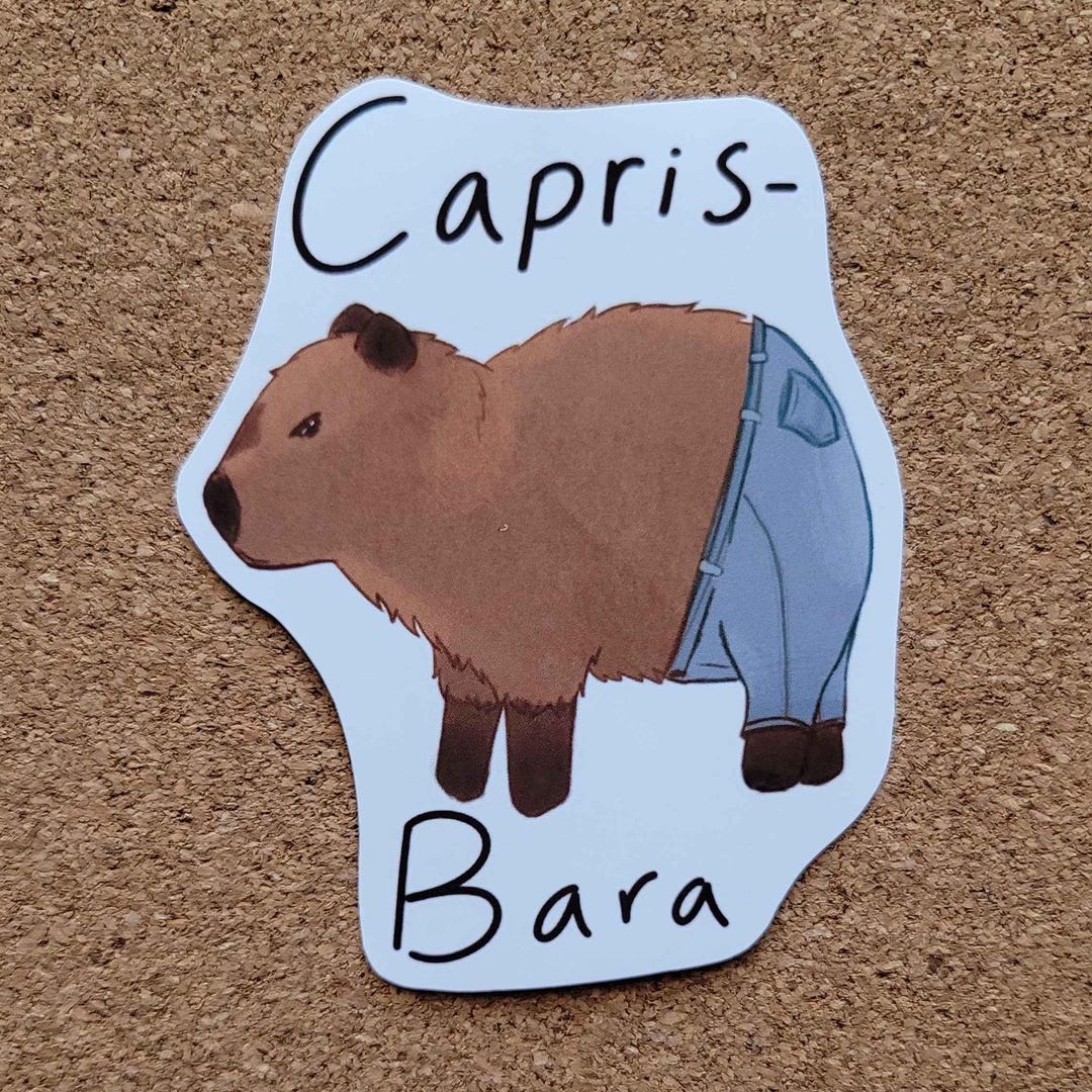 Capybara Sticker: Capris-bara - Etsy