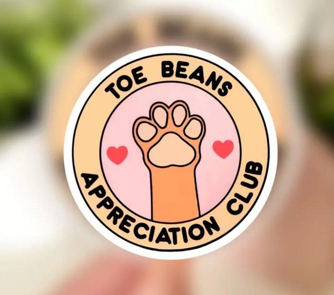 Toe Beans Appreciation Club, Dog Mom Sticker, Water Bottle Sticker, Cat Mom Sticker, Cat ...