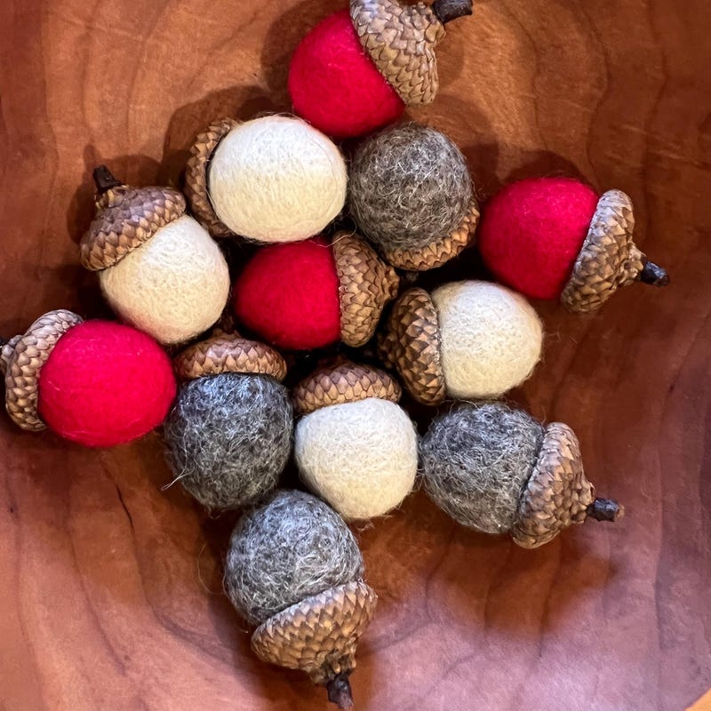 Wool Felted Acorns - Etsy