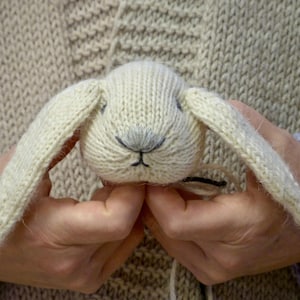 2 Little Bunny: Bridget and Matthew. KNITTING Patterns, Knitted Animal ...
