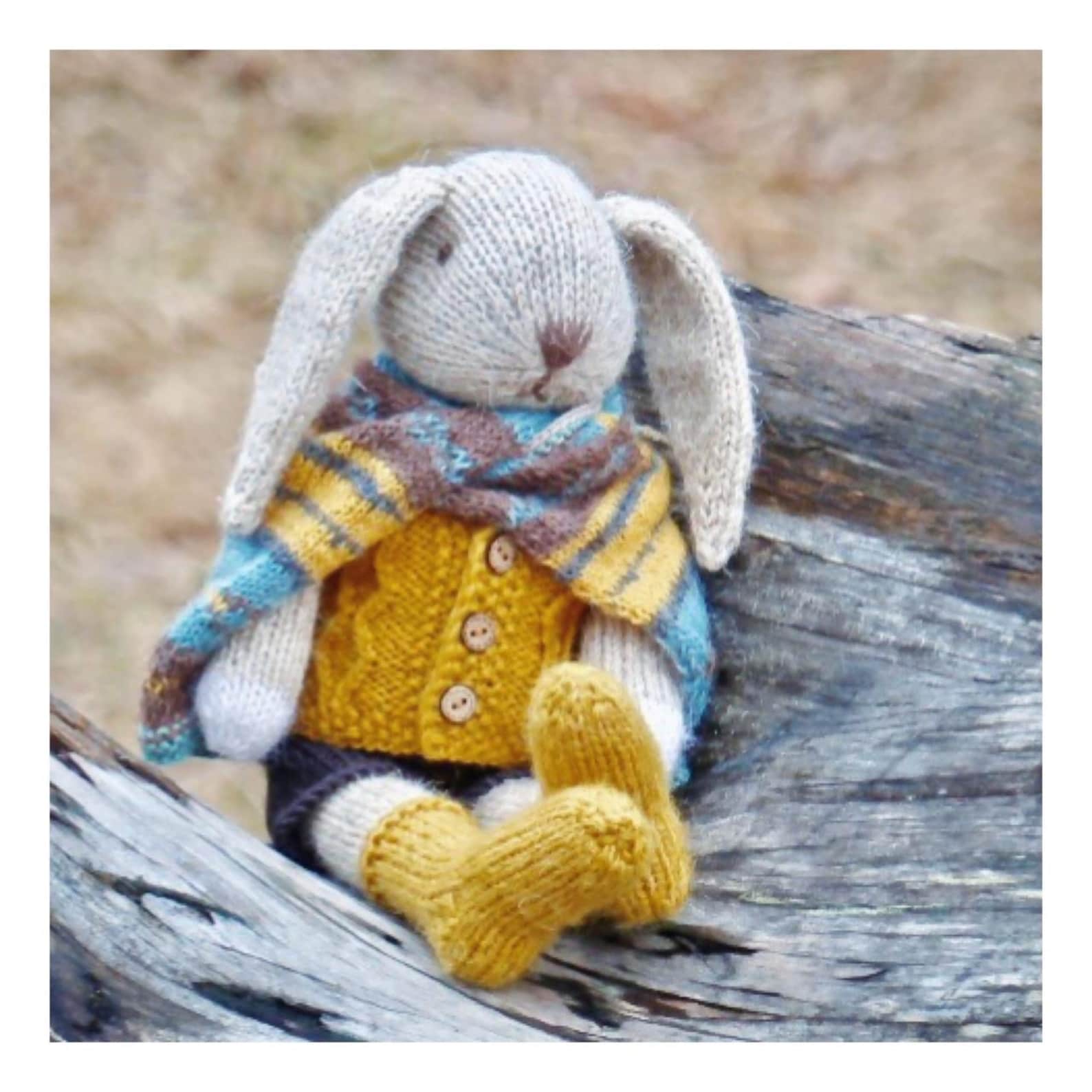 2 Little Bunny: Bridget and Matthew. KNITTING Patterns, Knitted Animal ...
