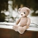 Christmas Bear. KNITTING Pattern. Bear With the the Romper and the ...