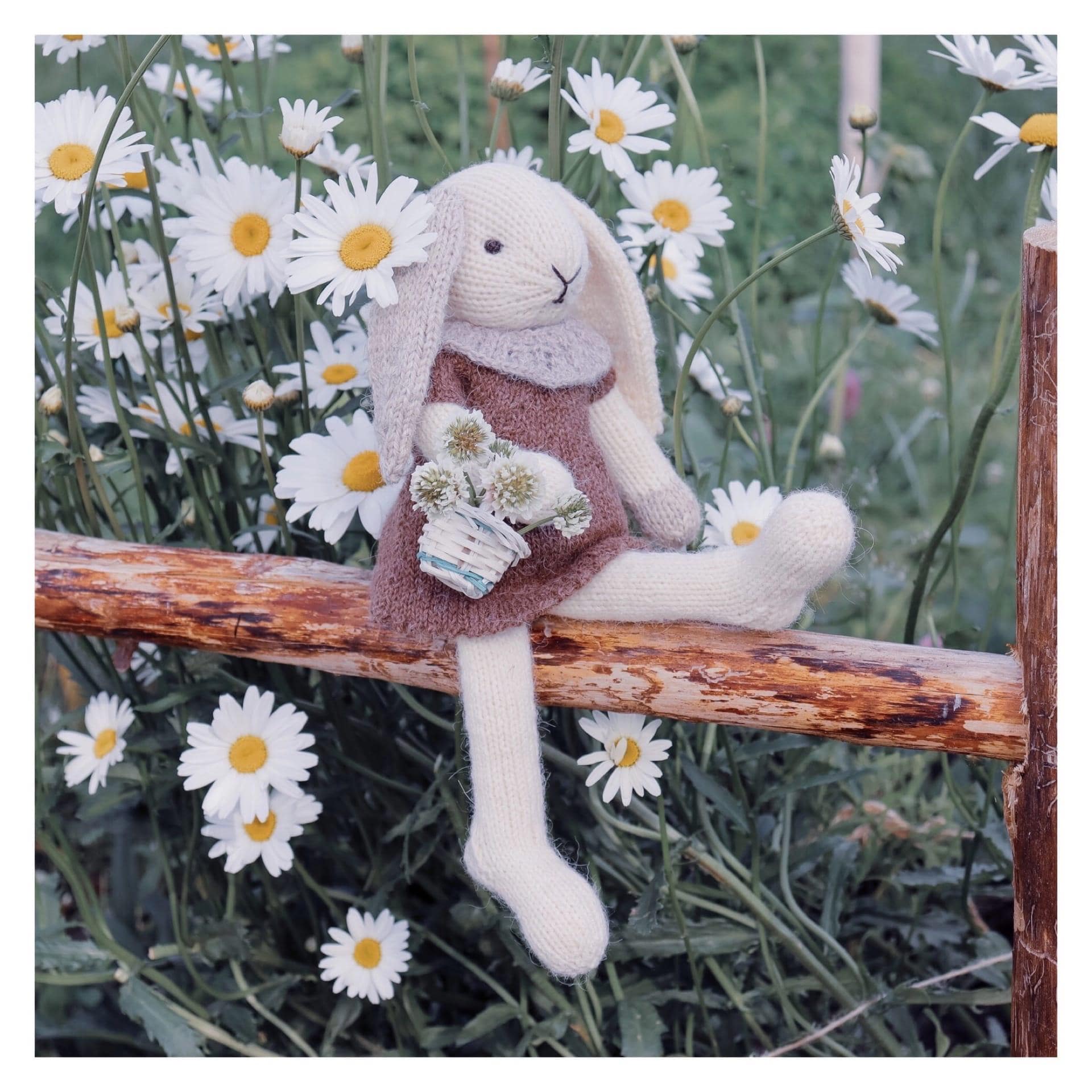 2 Little Bunny: Bridget and Matthew. KNITTING Patterns, Knitted Animal ...