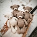 Christmas Bear. KNITTING Pattern. Bear With the the Romper and the ...