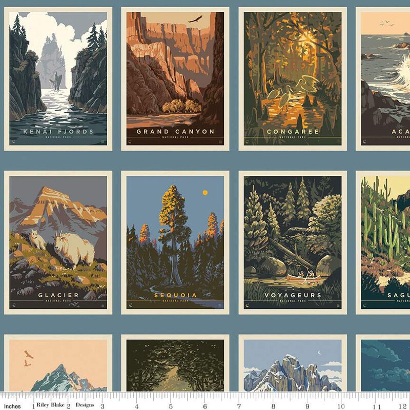 National Park Postcard - Etsy