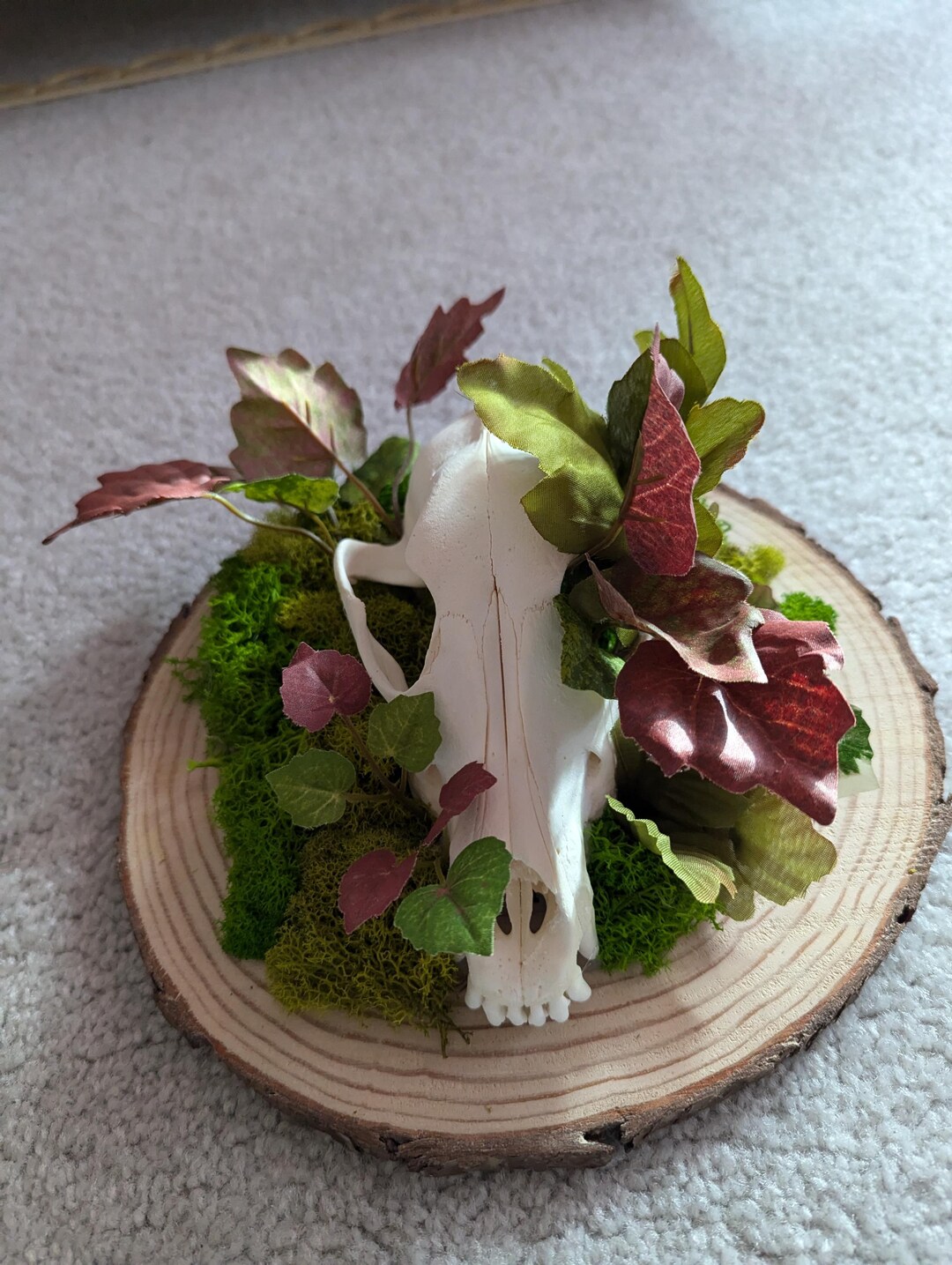 Canine Skull Bonecraft Art - Etsy