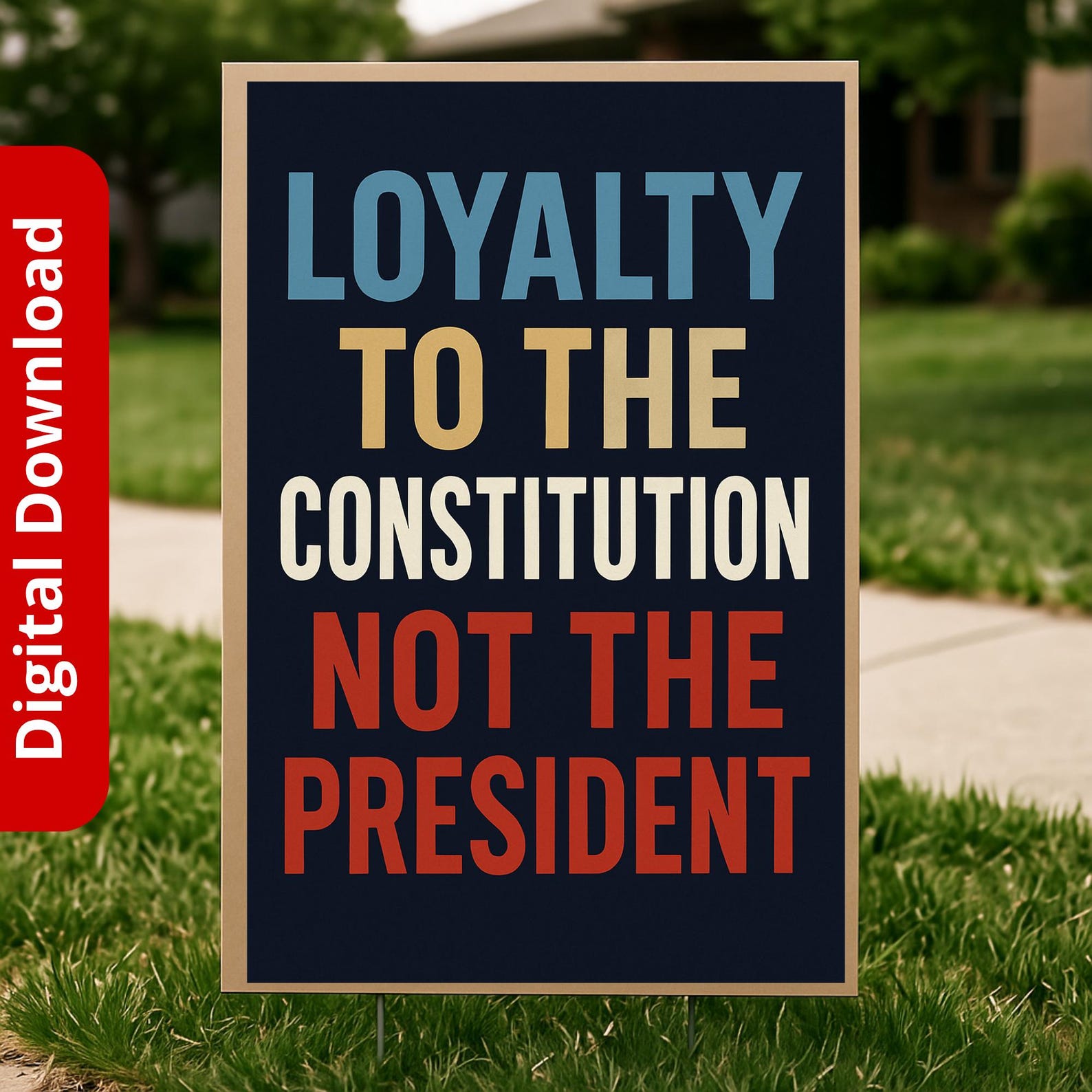 Constitution Protest Sign – Activist March Poster (digital Download) - Etsy