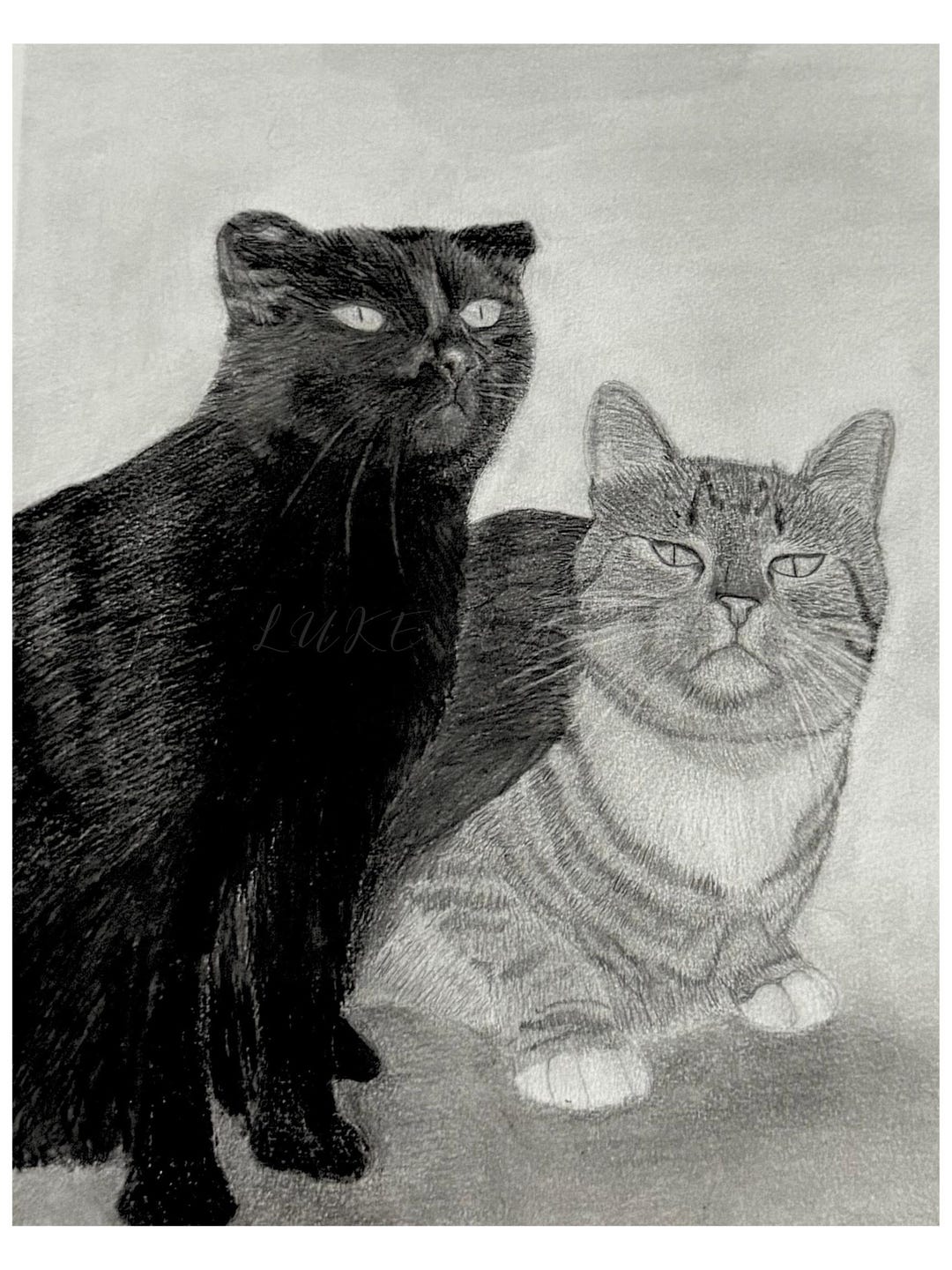 Hand-drawn Custom Graphite Animal Portraits - Etsy