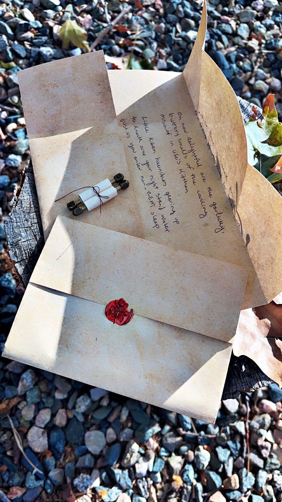 Mystery Poem - Original Poem With Secret Message Scroll - Etsy