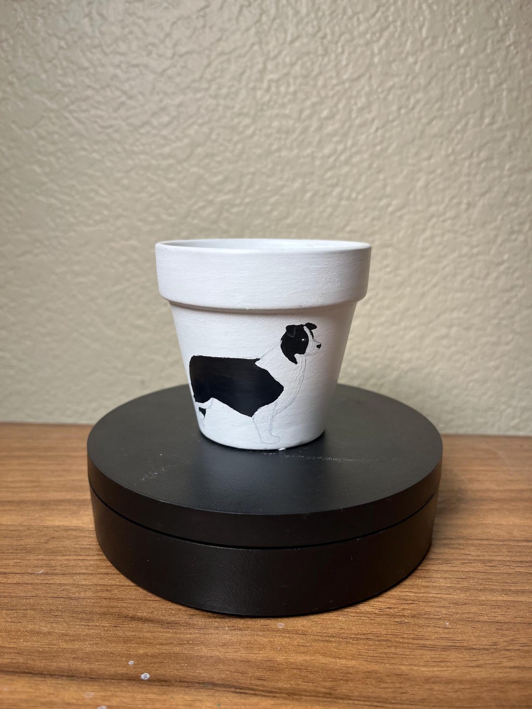 Border Collie Hand Painted Terracotta Flower Pot - Etsy