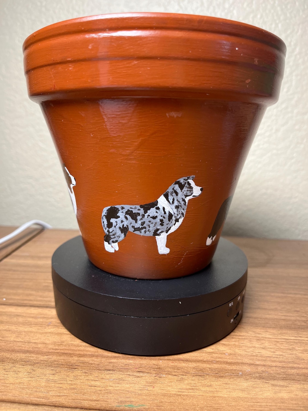 Border Collie Colors Hand Painted Terracotta Flower Pot - Etsy