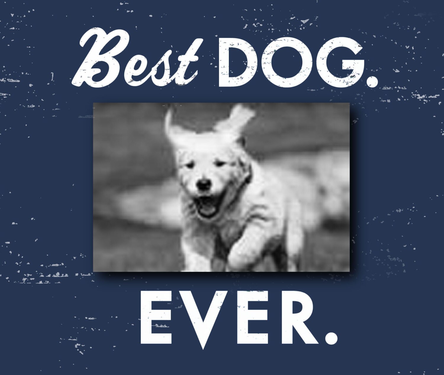 Best Dog. Ever. 4 x 6 Photo Frame Dog Picture Frame Gift for | Etsy