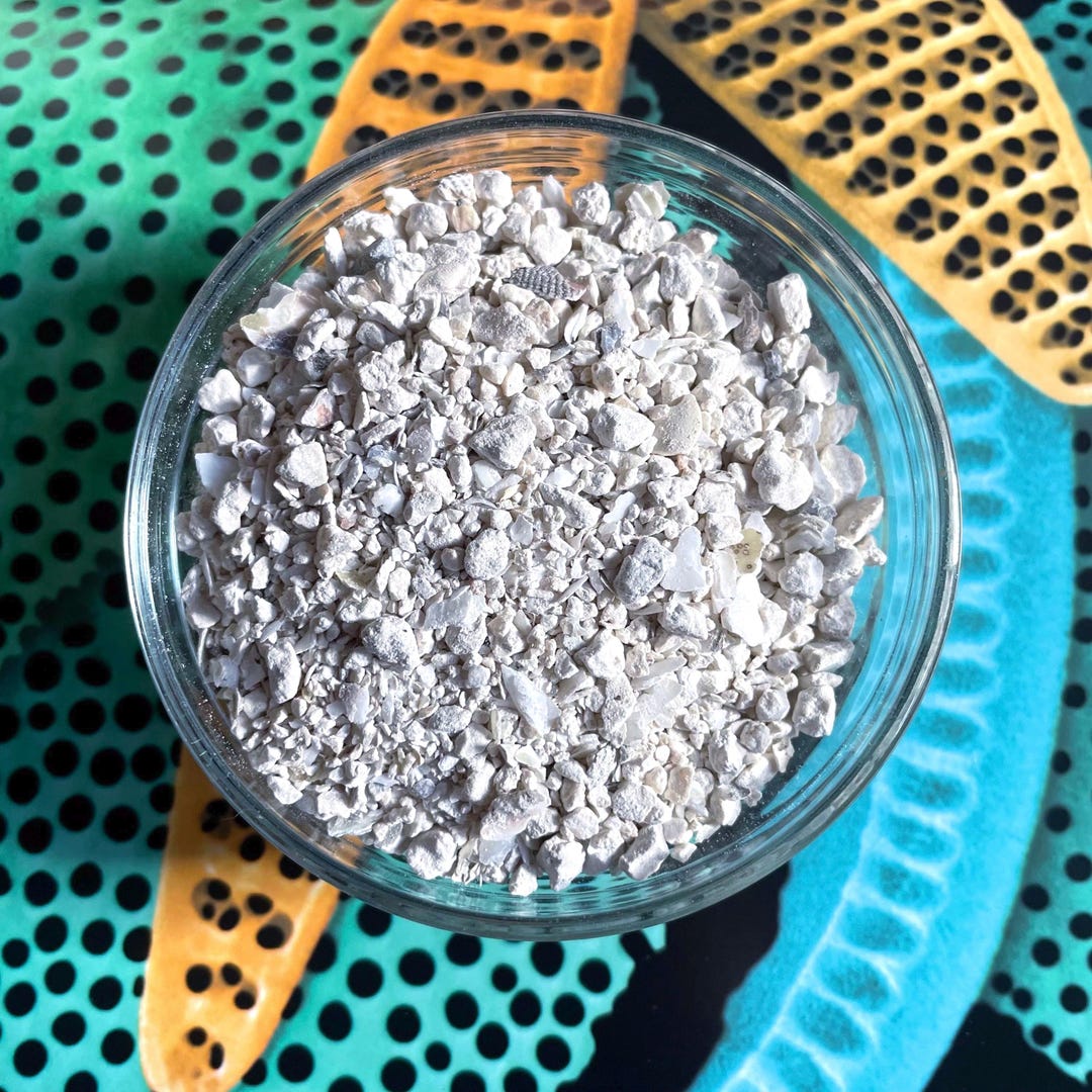 Organic Crushed Oyster Shell + Coral Bits | Hermit Crab Staple Food - Etsy