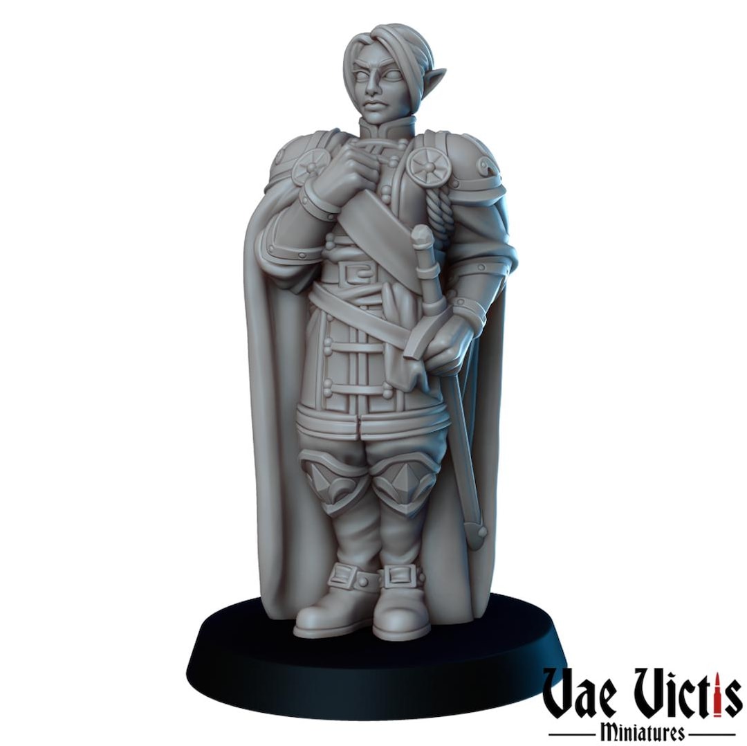 Elf General / Regal Elven Warlord / Highbord Elvish Leader, Vae Victis ...
