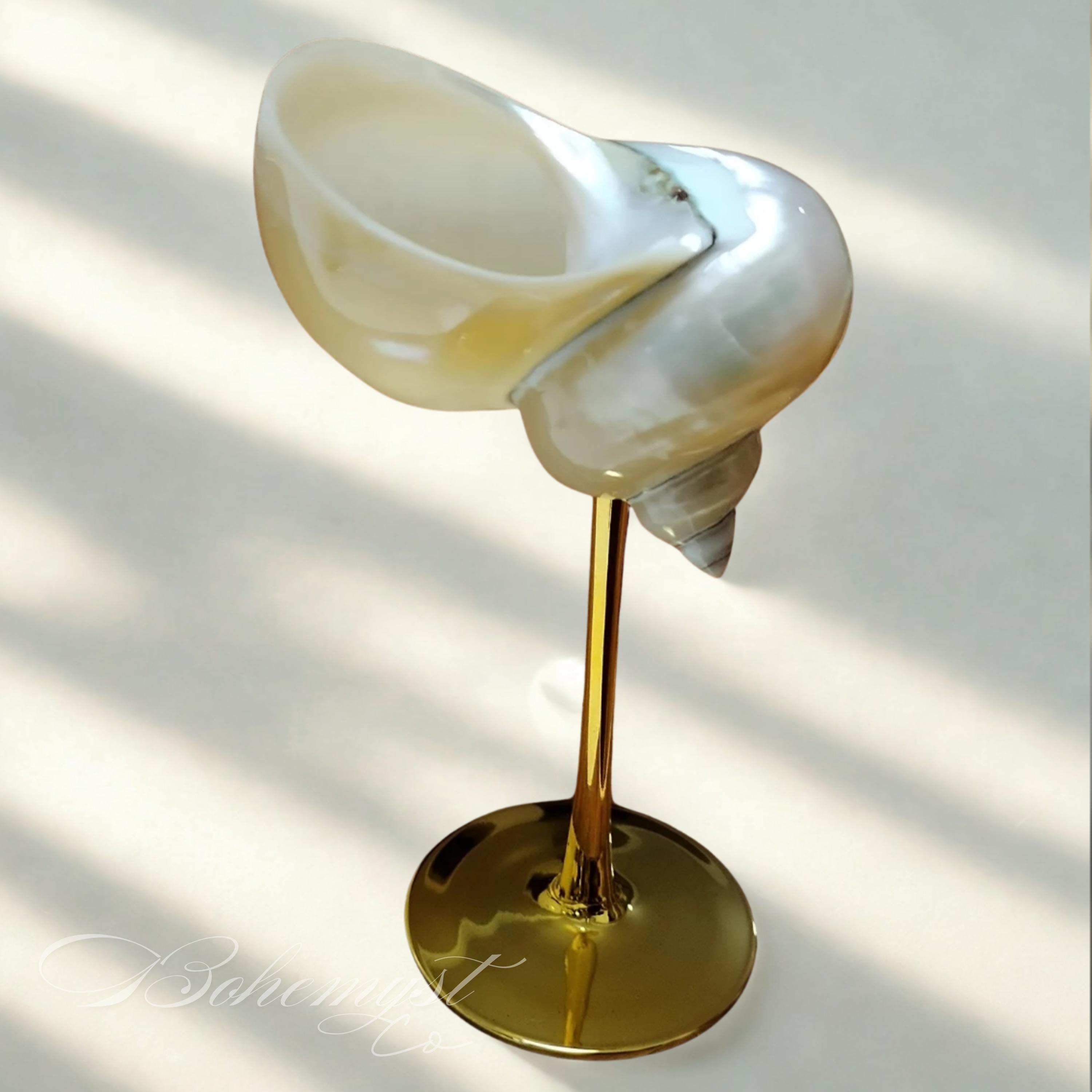 Seashell Conch Martini Glass: Elegant Coastal Wedding Decor - Etsy
