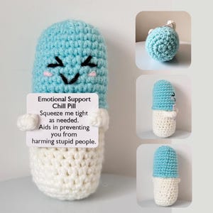PDF Pattern Only,emotional Support Chill Pill,crochet Pill Pattern ...