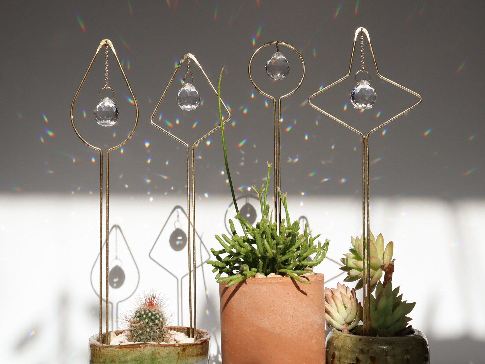 Garden prisms | Trellis plants, Plants, Garden art diy