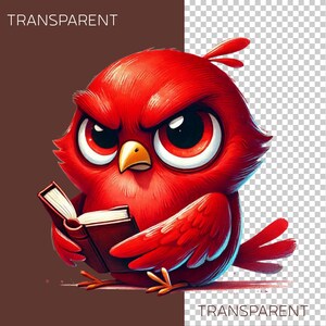 Grumpy Red Bird Clipart | Funny Bird | High-quality Pngs 300 DPI ...