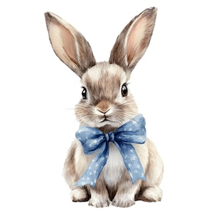 12 Easter Bunny Clipart Easter Clip Art Spring Rabbit High Quality Pngs ...