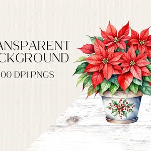 Watercolor Christmas Poinsettias Clipart Christmas Clip Art Poinsettia ...