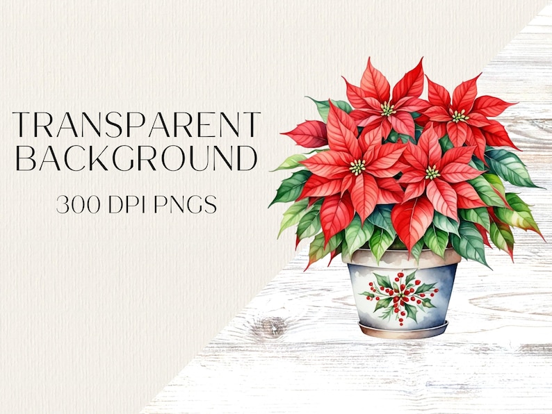 Watercolor Christmas Poinsettias Clipart Christmas Clip Art Poinsettia ...