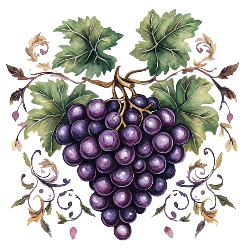 11 Bunch of Grapes Clipart Bundle of Grapes Folk Art Clip Art Fruit ...