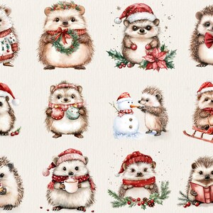 Watercolor Christmas Hedgehogs Clipart Cute Christmas Clip Art Cute ...