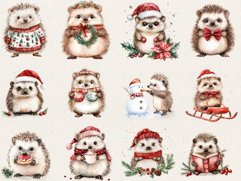 Watercolor Christmas Hedgehogs Clipart Cute Christmas Clip Art Cute ...