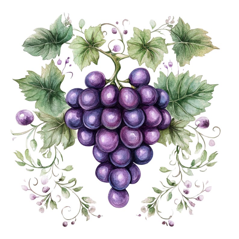 11 Bunch of Grapes Clipart Bundle of Grapes Folk Art Clip Art Fruit ...