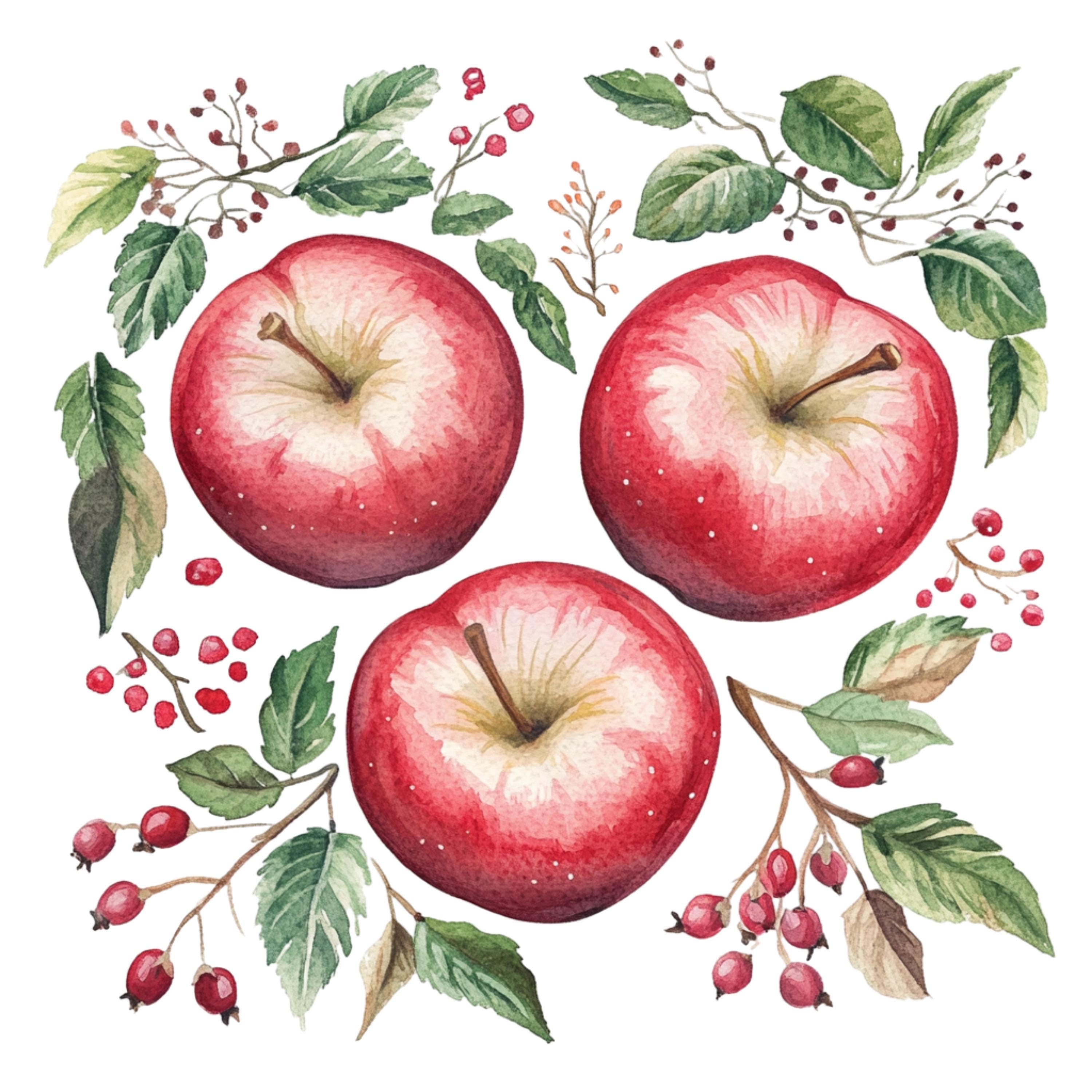 11 Watercolor Red Apple Clipart Red Apples Scandinavian Folk Art Clip ...