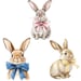 12 Easter Bunny Clipart Easter Clip Art Spring Rabbit High Quality Pngs ...