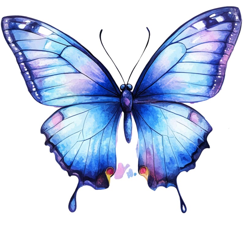 12 Butterfly Clipart Watercolor Butterflies Clip Art Spring High ...