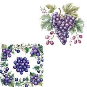 11 Bunch of Grapes Clipart Bundle of Grapes Folk Art Clip Art Fruit ...