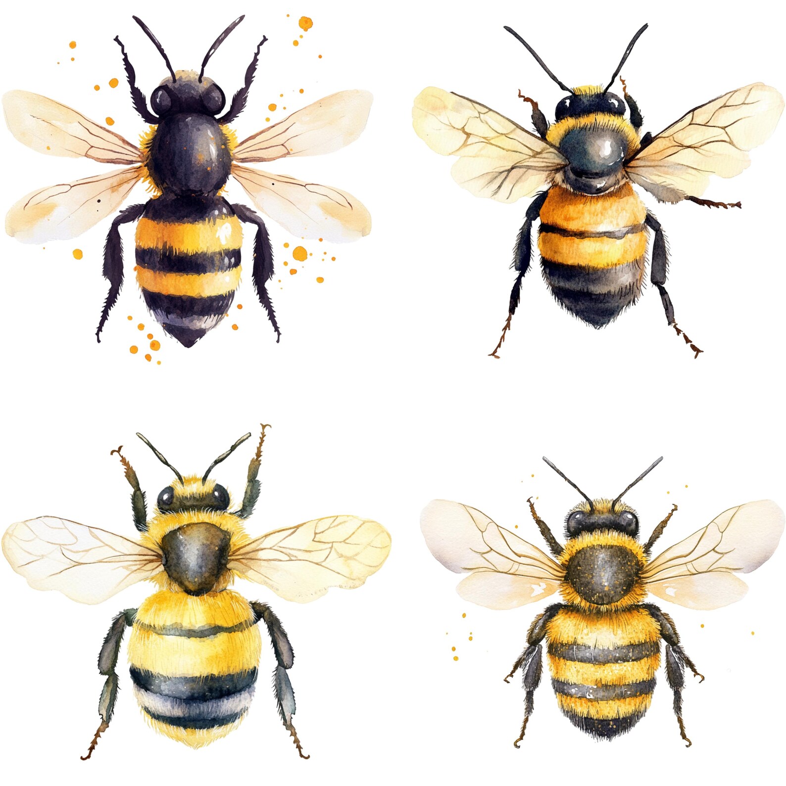 13 Bee Clipart Watercolor Bees Clip Art Insect High Quality Pngs ...