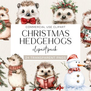Watercolor Christmas Hedgehogs Clipart Cute Christmas Clip Art Cute ...