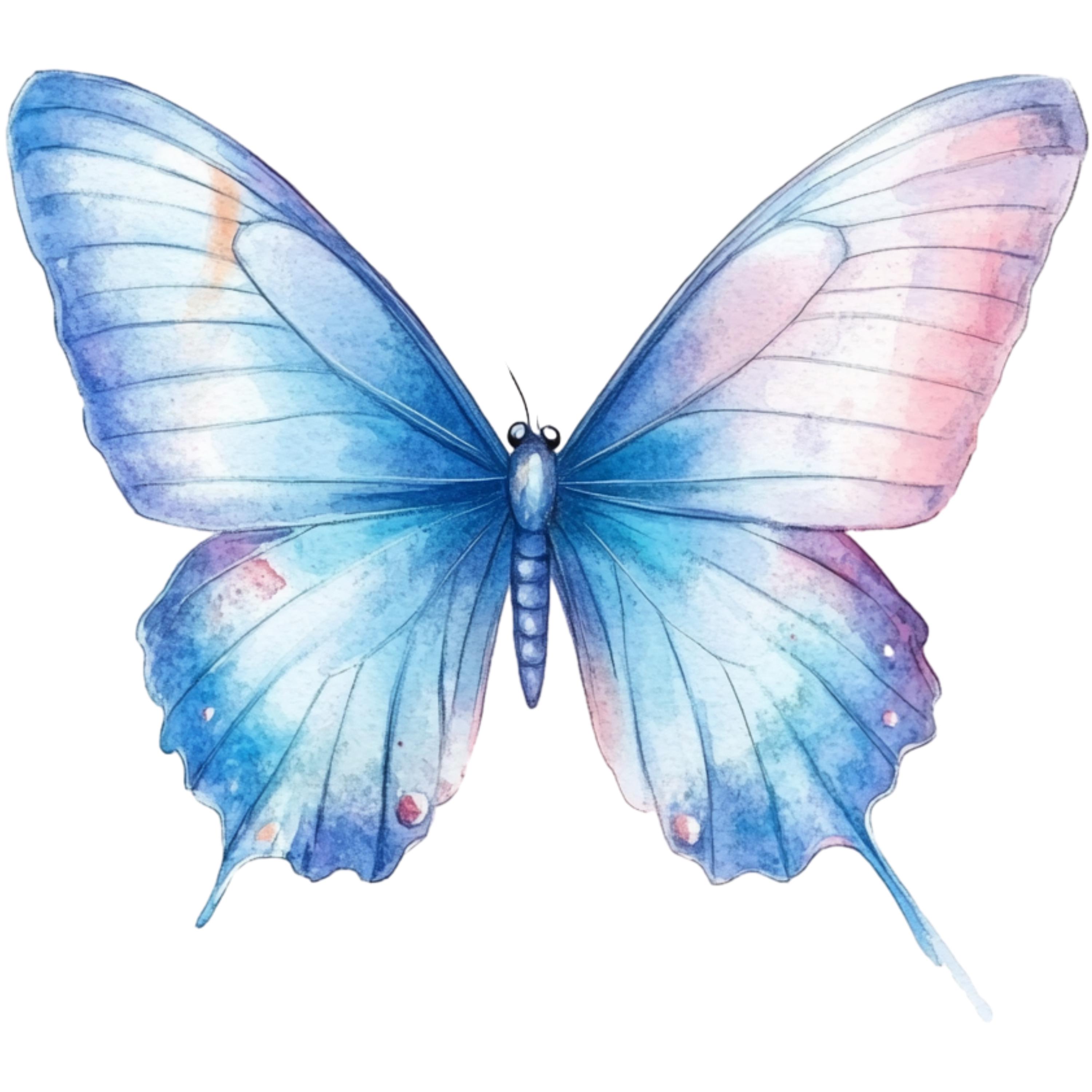 12 Butterfly Clipart Watercolor Butterflies Clip Art Spring High ...