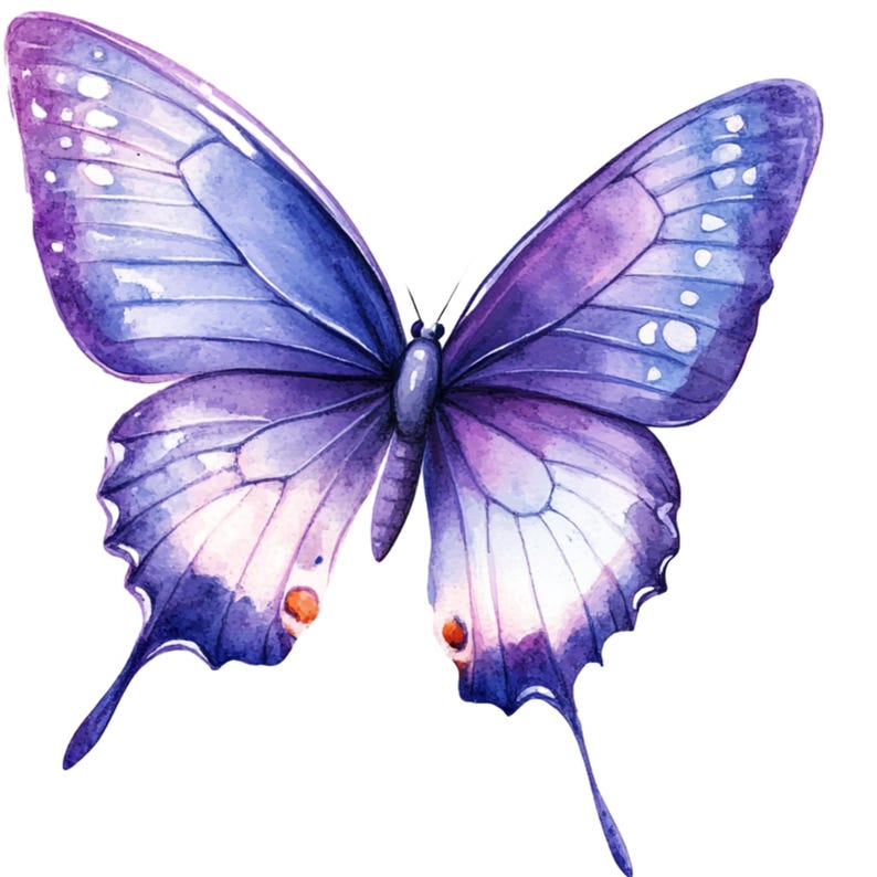 13 Butterfly Clipart Watercolor Butterflies Clip Art Spring High ...