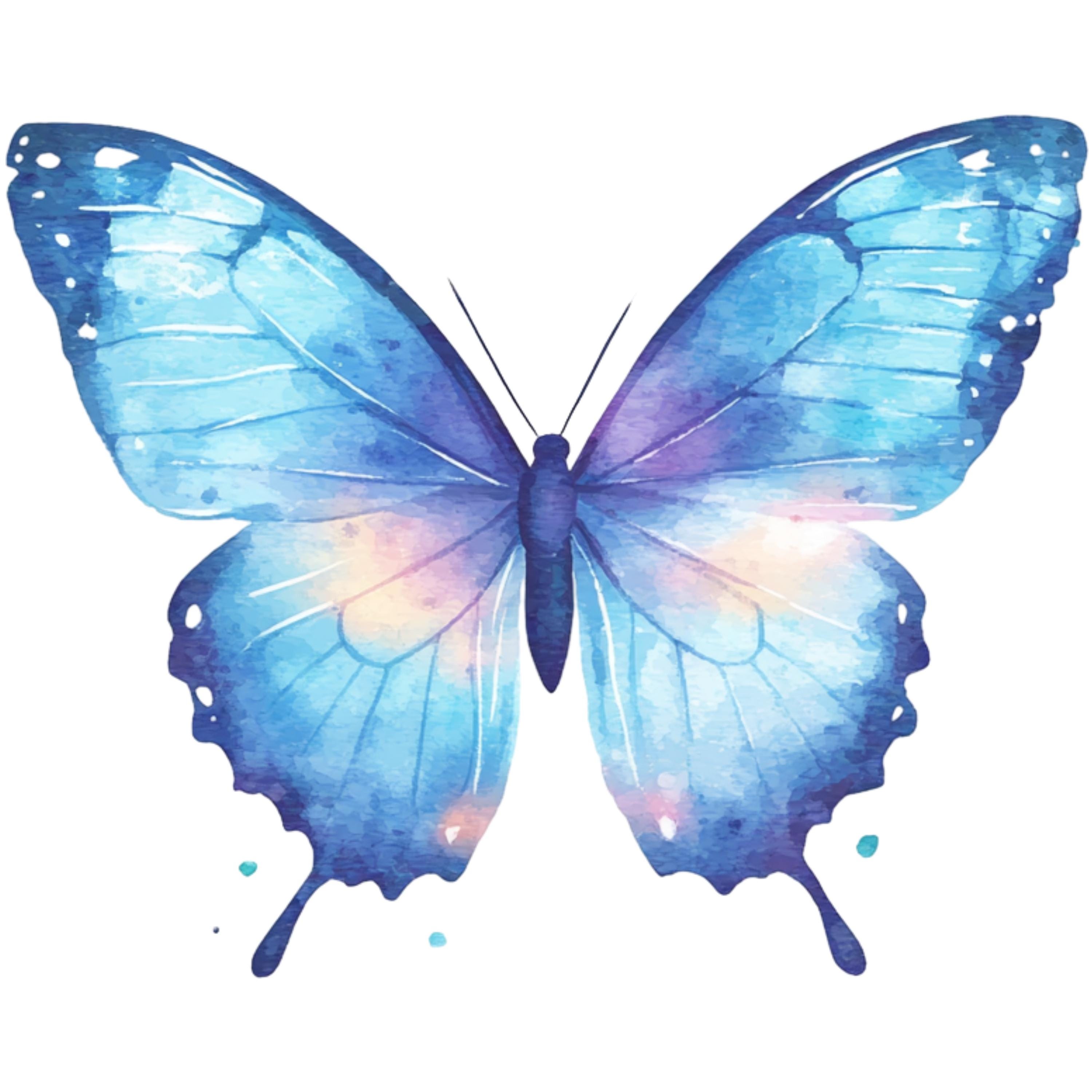 12 Butterfly Clipart Watercolor Butterflies Clip Art Spring High ...