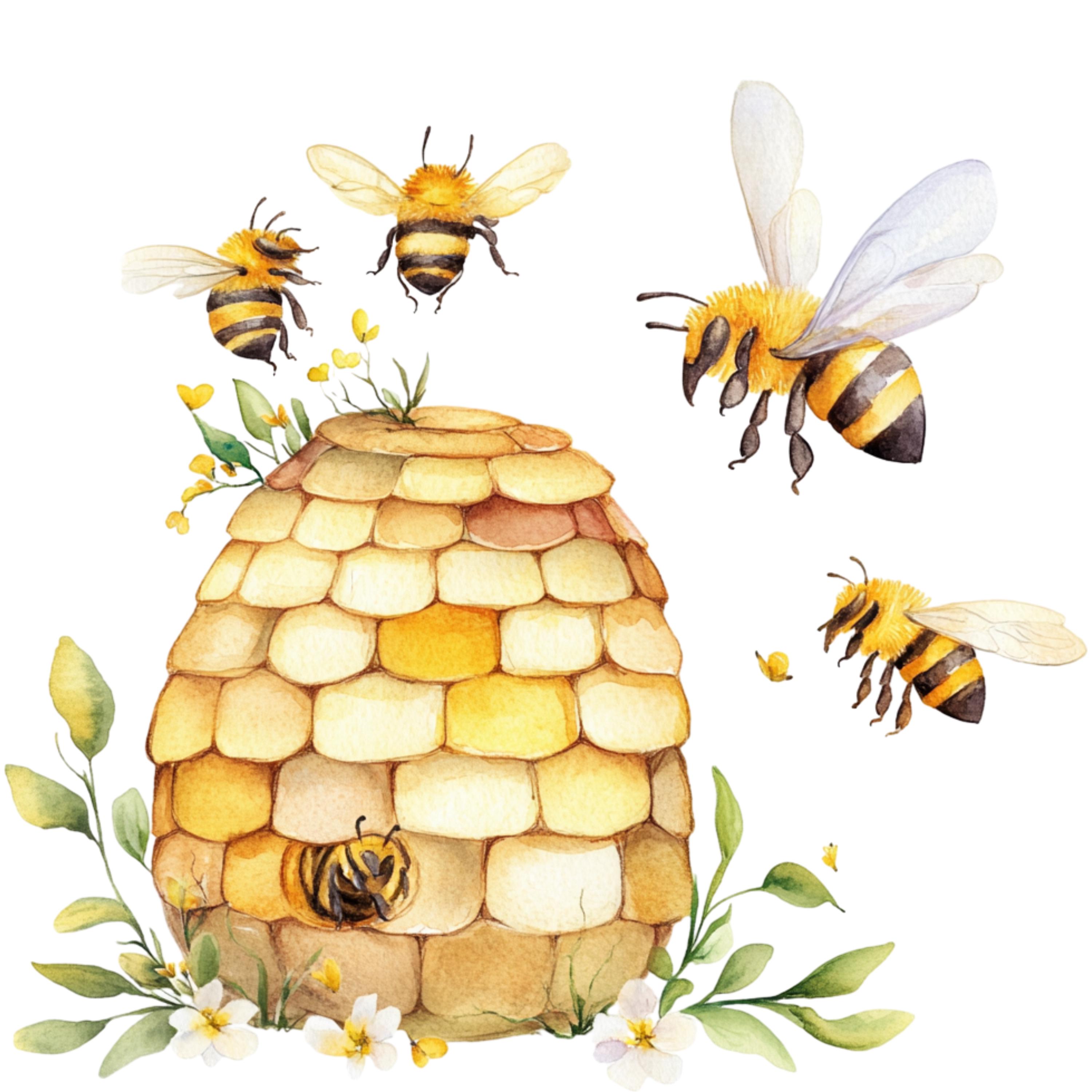 14 Spring Beehive Clipart Watercolor Spring Bees Clip Art Insect High ...