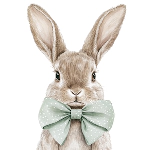 12 Easter Bunny Clipart Easter Clip Art Spring Rabbit High Quality Pngs ...