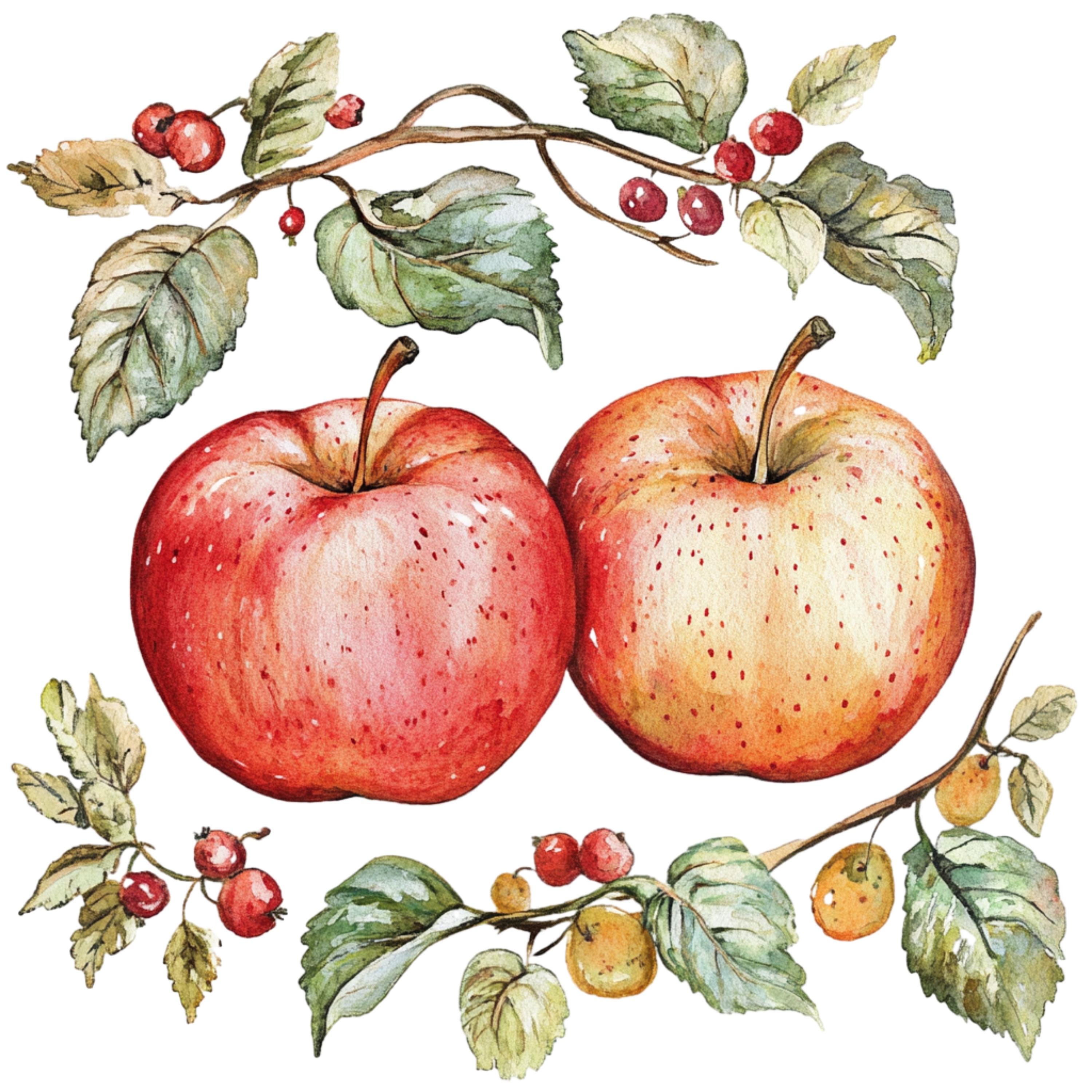11 Watercolor Red Apple Clipart Red Apples Scandinavian Folk Art Clip ...