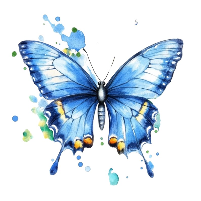 12 Butterfly Clipart Watercolor Butterflies Clip Art Spring High ...