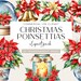 Watercolor Christmas Poinsettias Clipart Christmas Clip Art Poinsettia ...