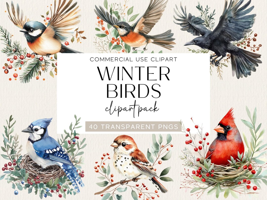 Whimsical Winter Birds Clipart Watercolor Bird Cardinal Blue Jay ...