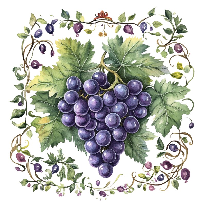 11 Bunch of Grapes Clipart Bundle of Grapes Folk Art Clip Art Fruit ...
