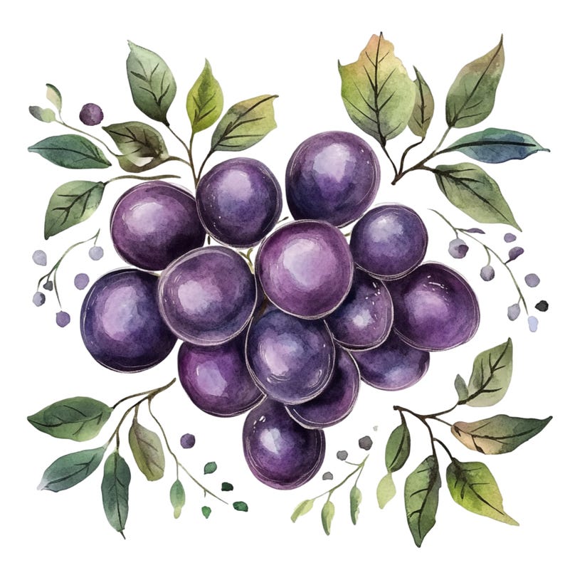 11 Bunch of Grapes Clipart Bundle of Grapes Folk Art Clip Art Fruit ...