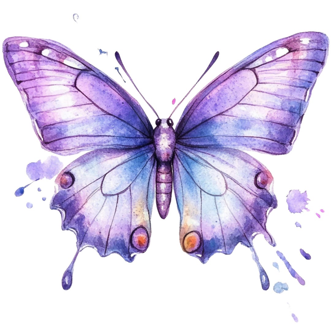 13 Butterfly Clipart Watercolor Butterflies Clip Art Spring High ...