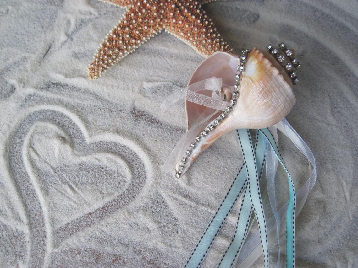 Whelk Seashell - Real Shell - Listen to the Beach - Etsy