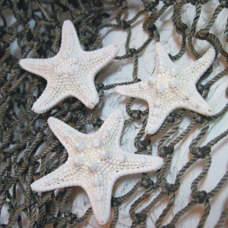 Starfish Decorations - Etsy